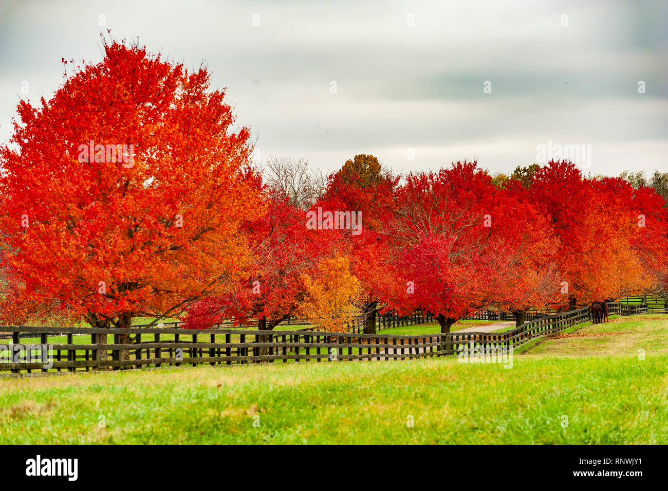 Couleurs en automne Banque de photographies et d’images à haute ...