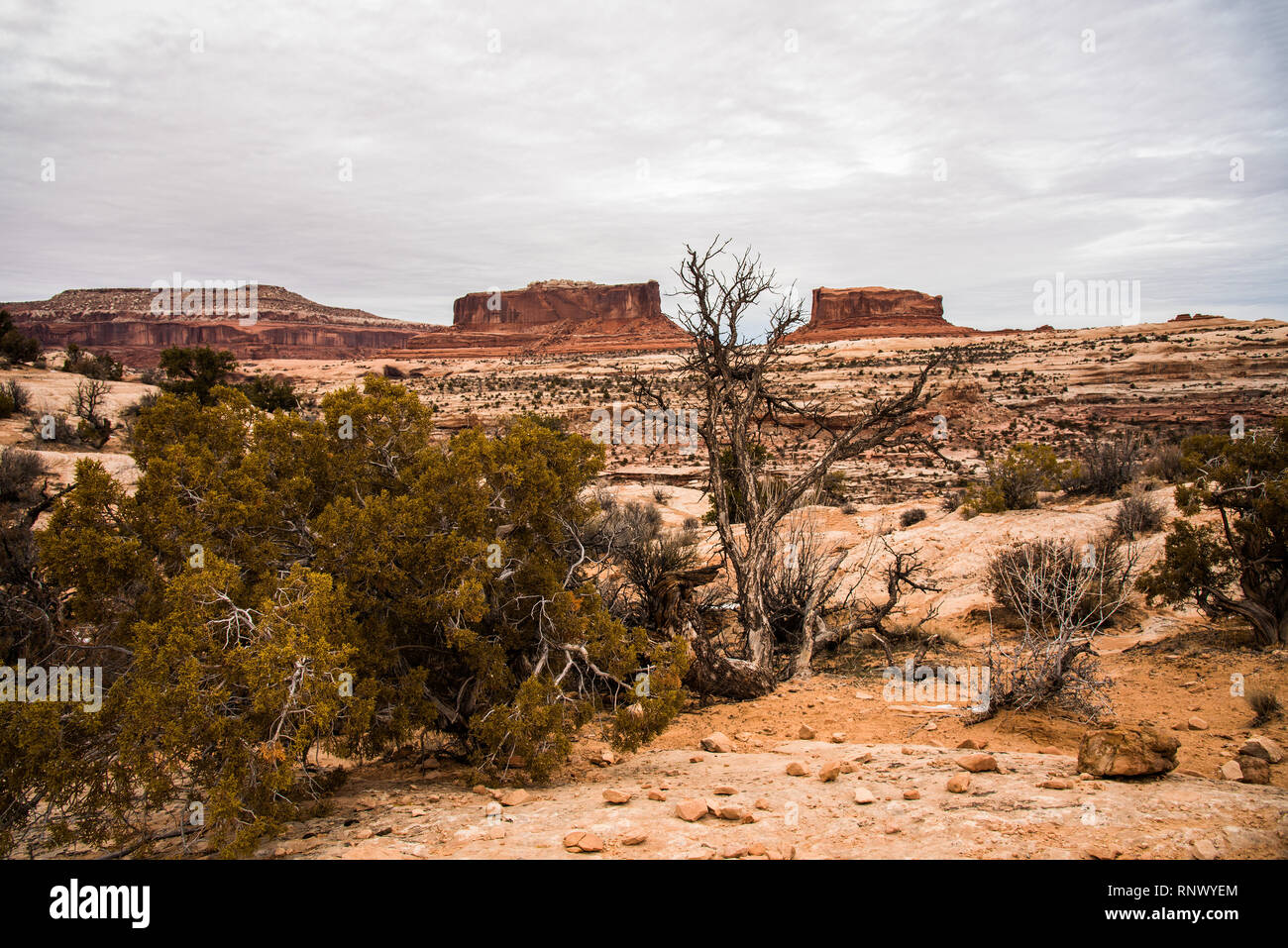 Mesas rouges Banque de photographies et d’images à haute résolution - Alamy