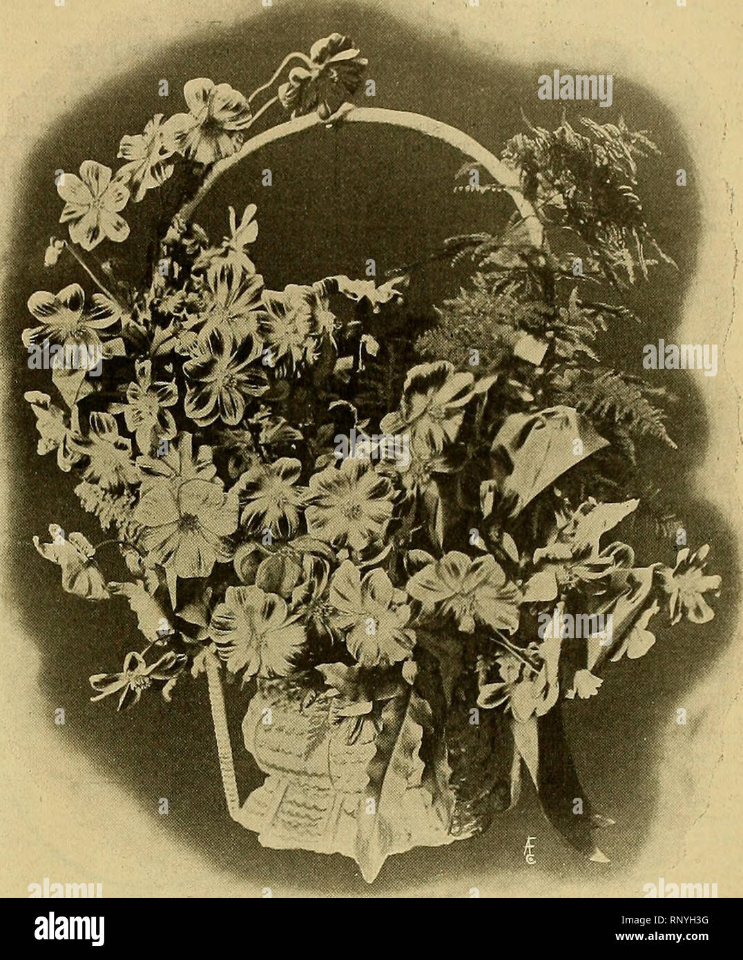 . La fleuriste américain : un journal hebdomadaire pour le commerce. La ...