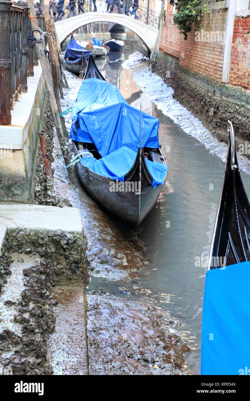 Venezia bassa marea Banque de photographies et d’images à haute résolution - Alamy