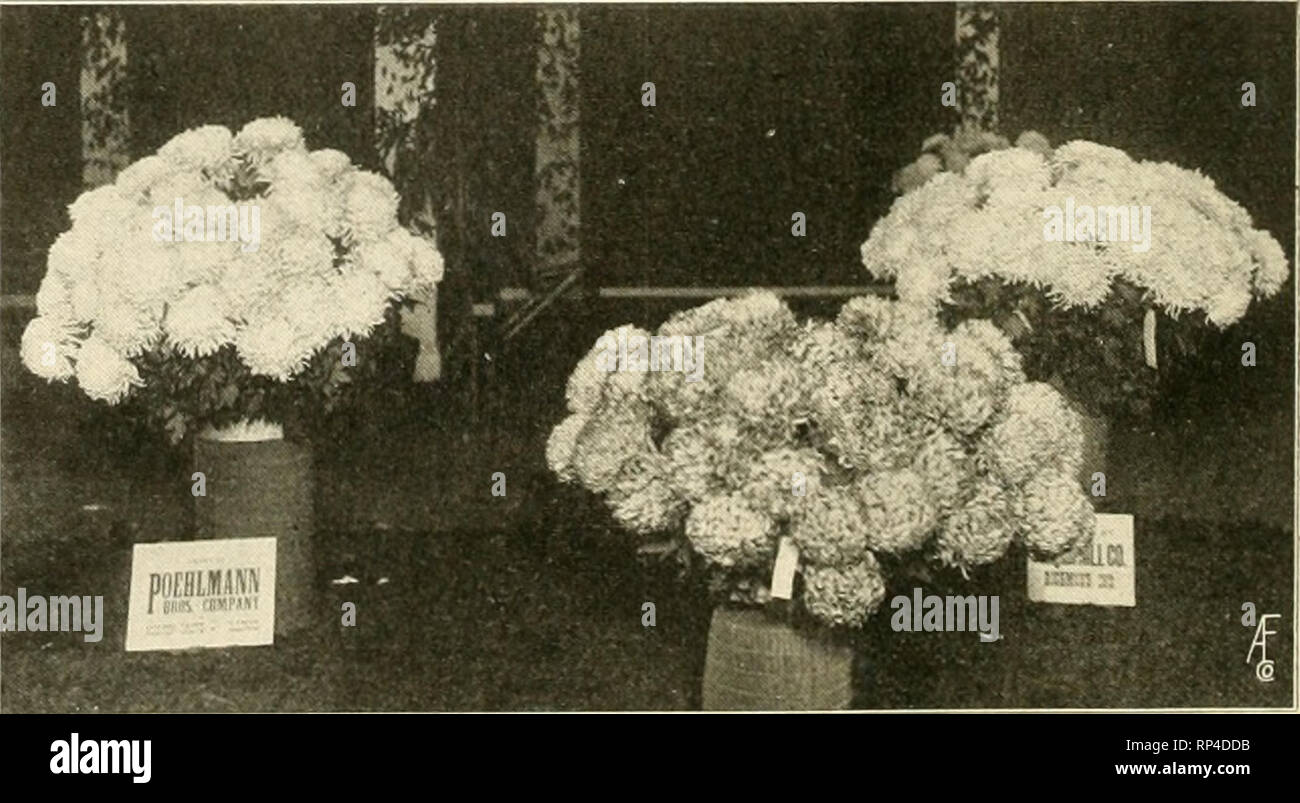 Lewisohn Hall Banque d'image et photos - Alamy