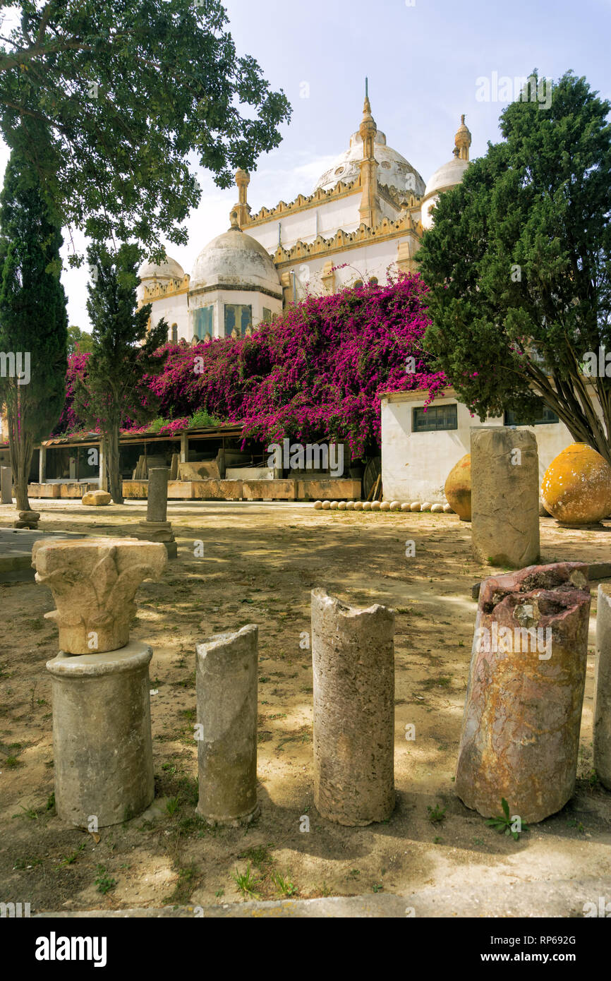 La cathédrale saint louis de carthage Banque de photographies et d ...