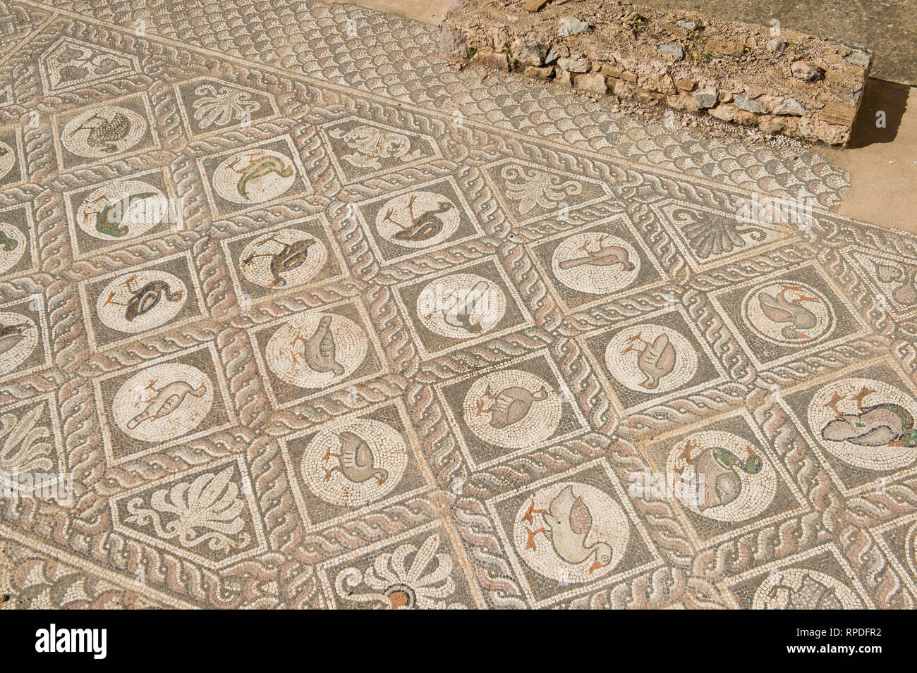 Grèce antique mosaique Banque de photographies et d’images à haute ...