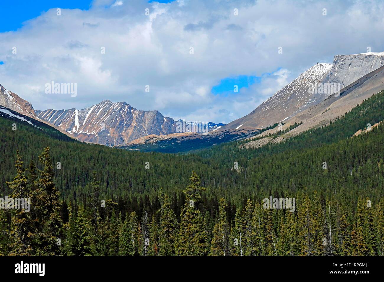 Parc national du jaspe des rocheuses canadiennes Banque de ...