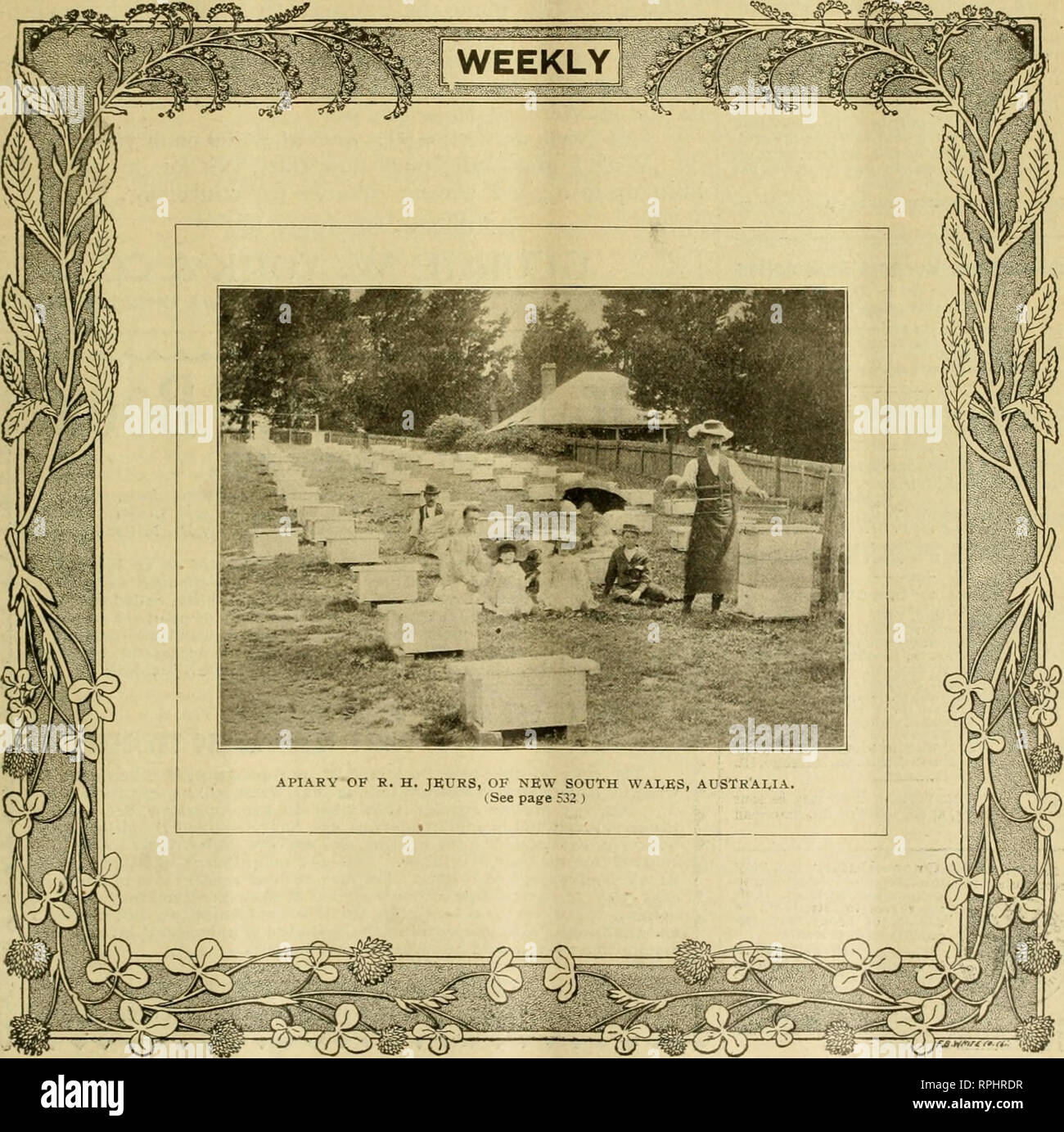 . American Bee Journal. La culture de l'abeille ; les abeilles. Bee ...