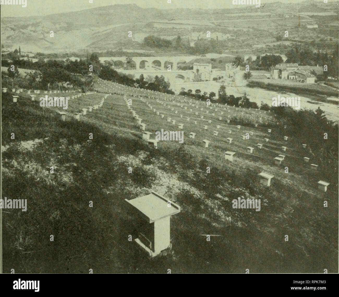 . American Bee Journal. La culture de l'abeille ; les abeilles. 'A ...