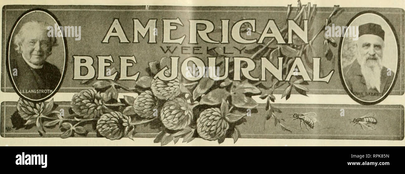 . American Bee Journal. La culture de l'abeille ; les abeilles. (Entrée ...