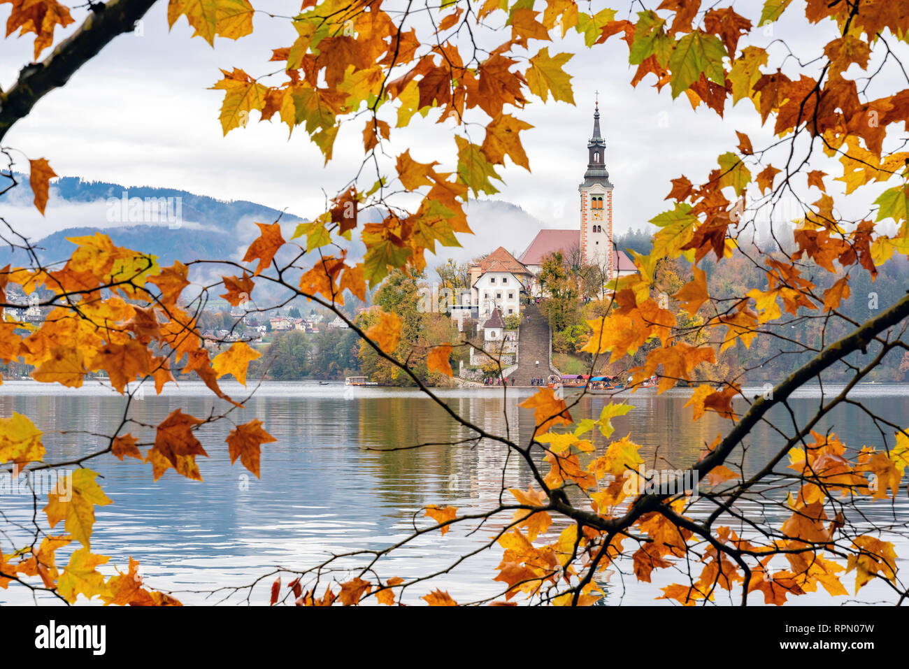 Beau paysage d'automne autour du lac de Bled avec l'église de pèlerinage de l'assomption de ...