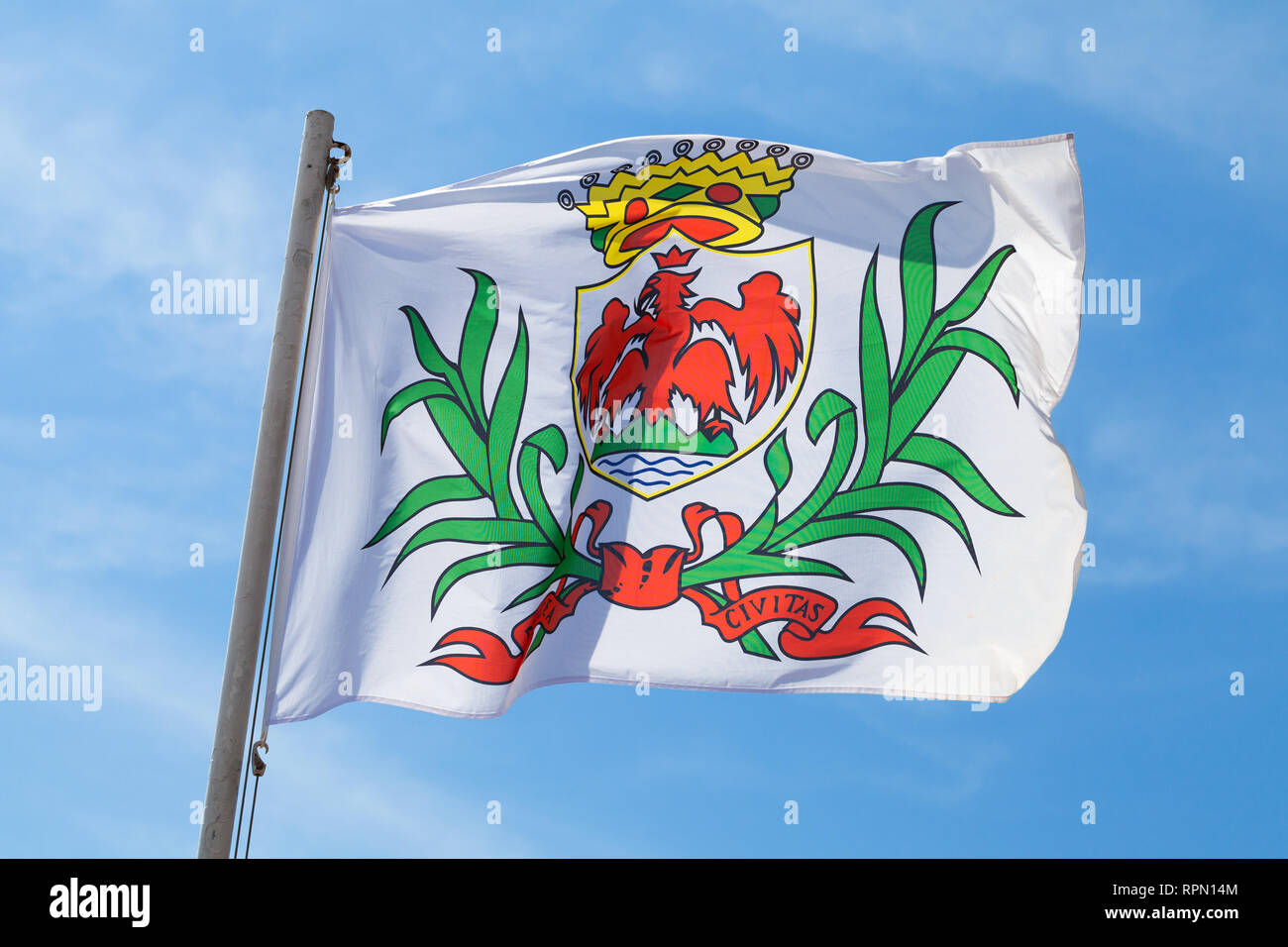 Flag of nice Banque de photographies et d’images à haute résolution - Alamy