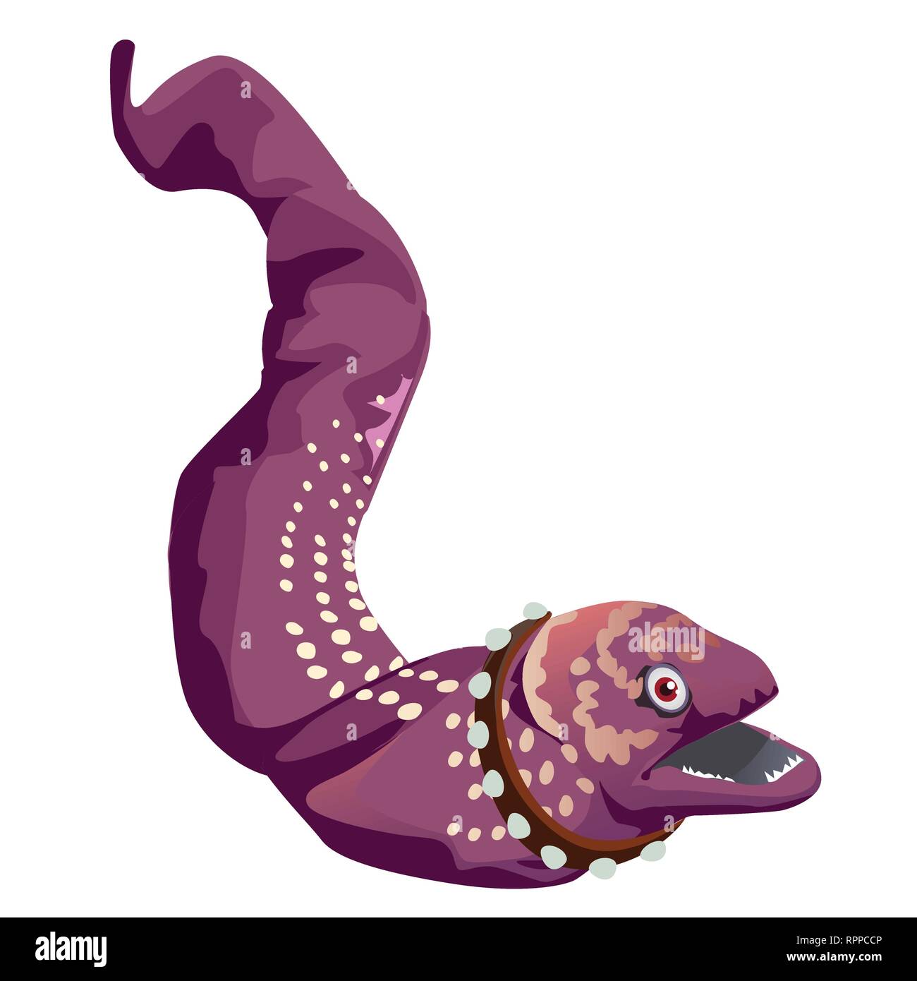 Moray eel teeth Banque d'images vectorielles - Alamy