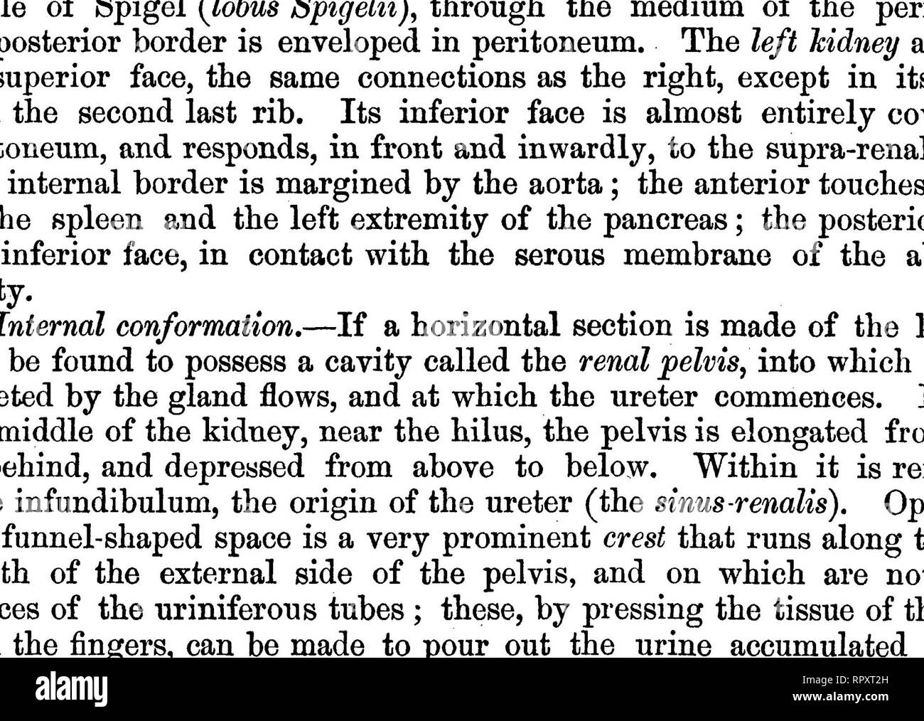 . L'anatomie comparée des animaux domestiques. Anatomie vétérinaire ...