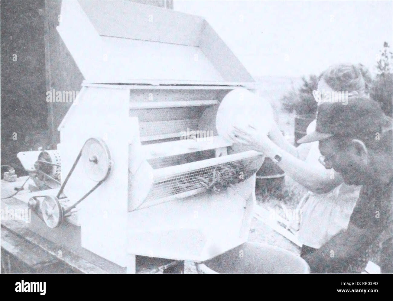 Marwayne alberta Banque de photographies et d’images à haute résolution ...