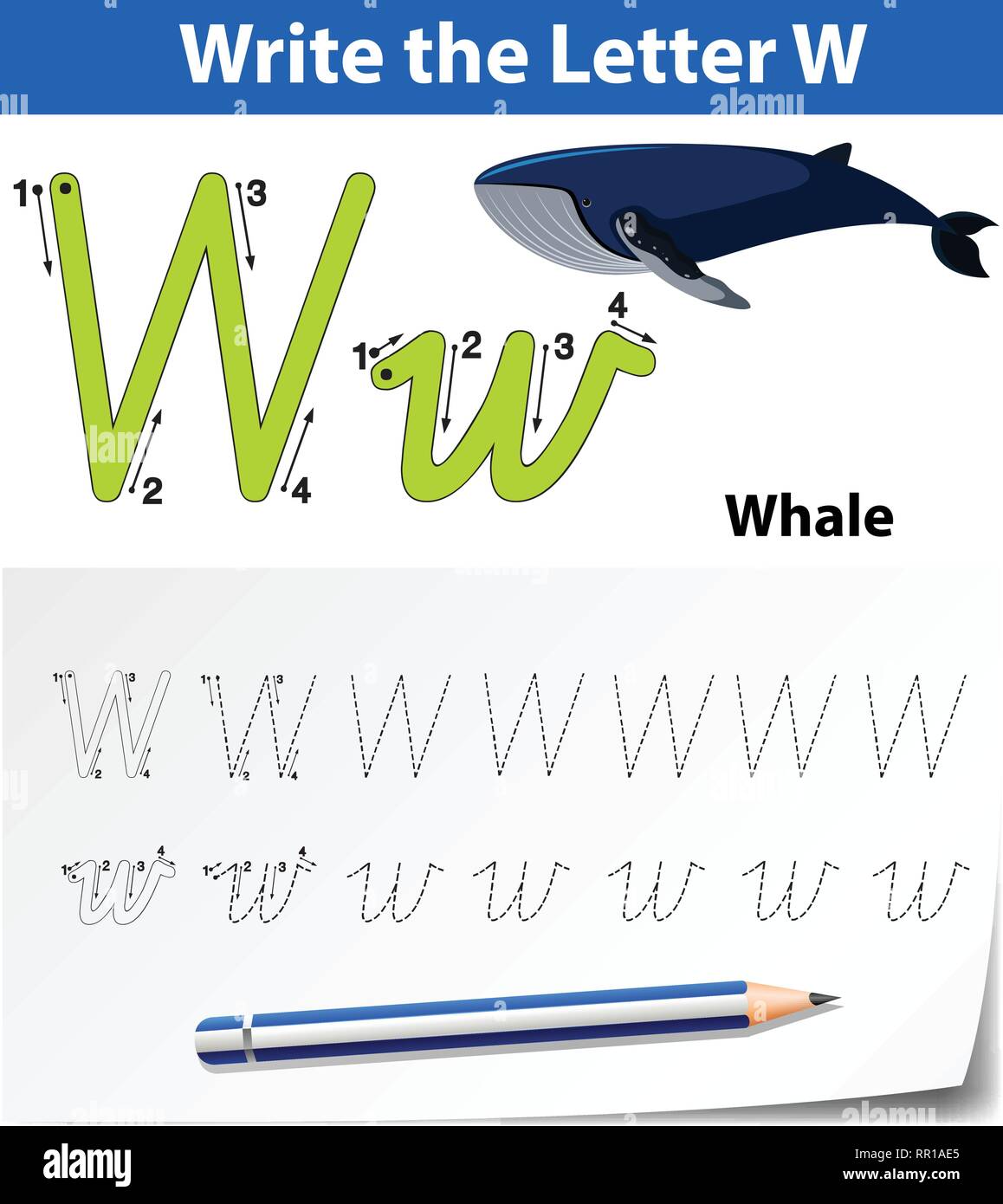 Feuilles de calcul de lettre Banque d'images vectorielles - Alamy