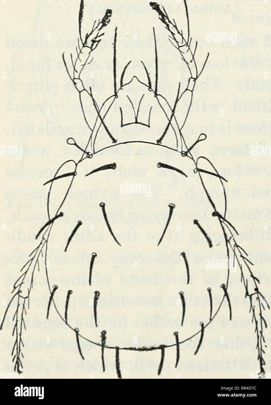 . Les Acariens ou les acariens. Un examen du groupe pour l'utilisation ...