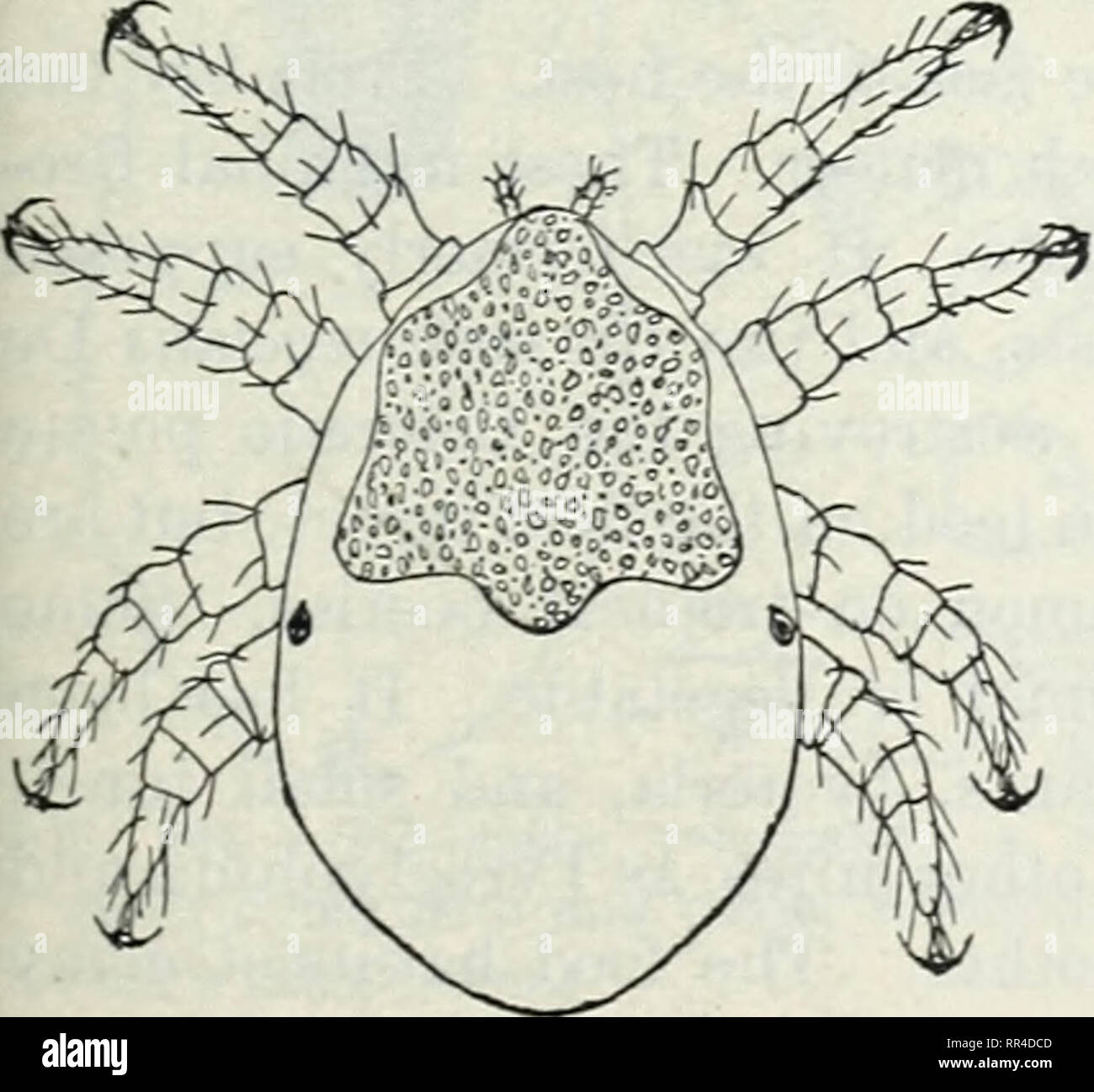 . Les Acariens ou les acariens. Un examen du groupe pour l'utilisation ...