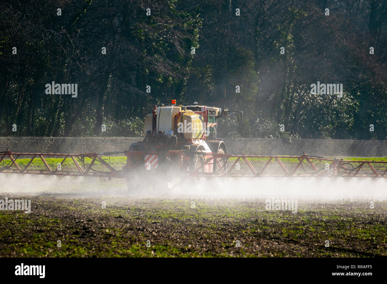 Pulvérisation de récolte à Burscough avec un cramoisi 400 Bargam. Les intempéries ont un impact ...