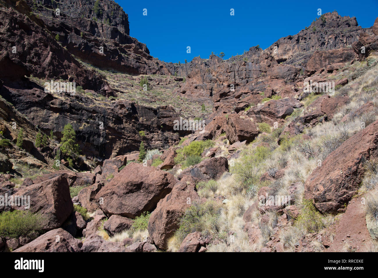 Formation de lave basaltique Banque de photographies et d’images à ...