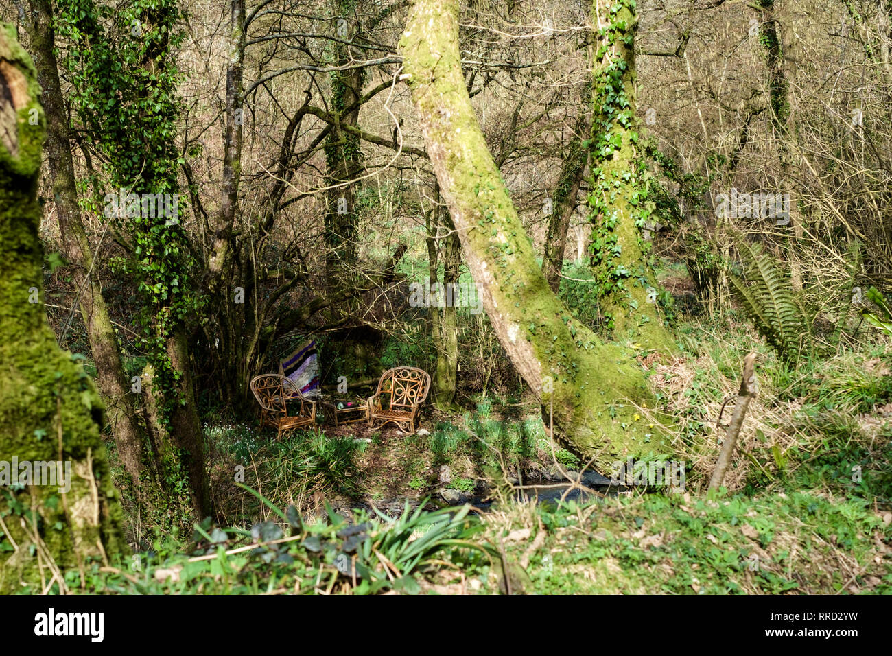 Dolton devon Banque de photographies et d’images à haute résolution - Alamy