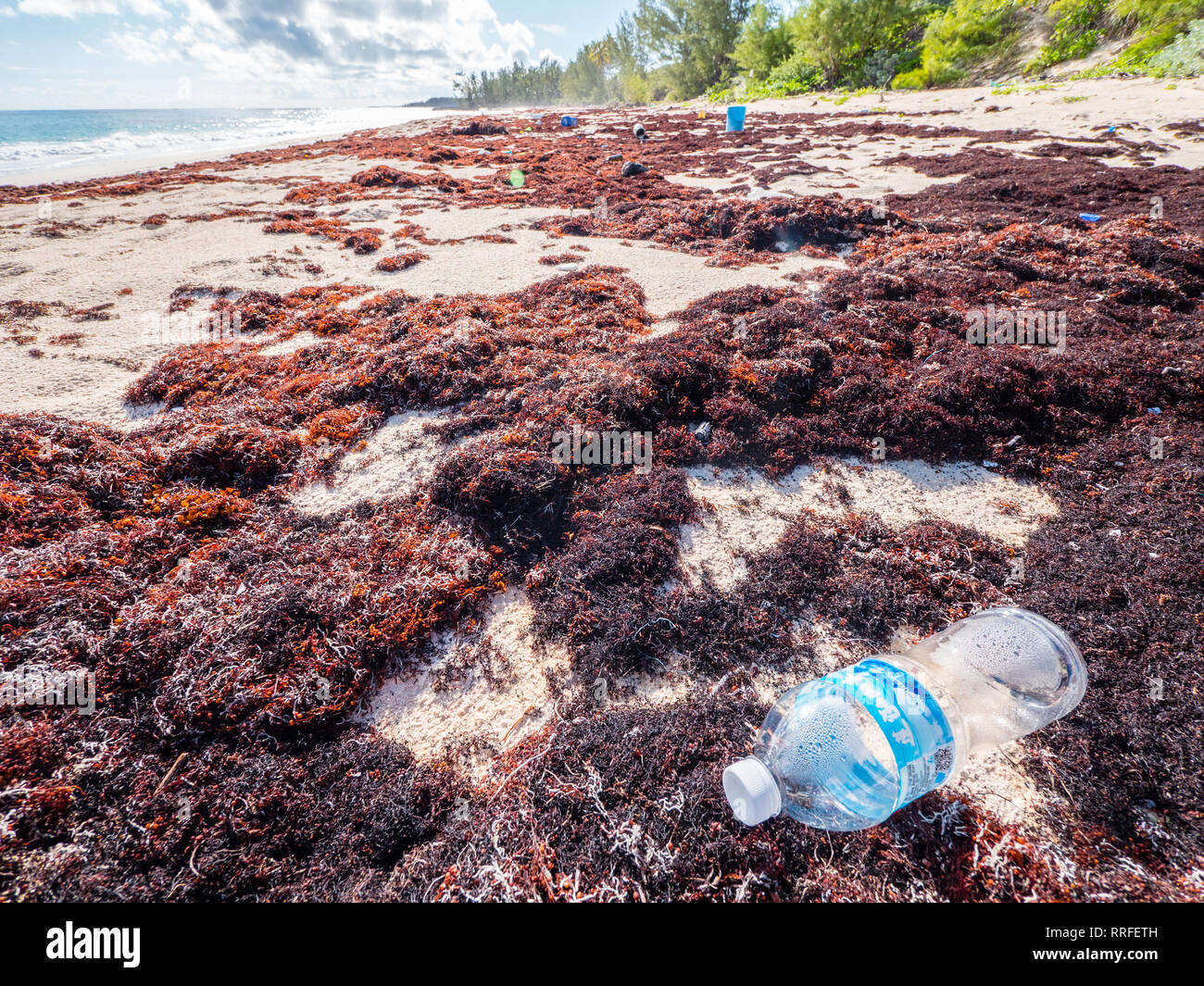 Plage de pollution en plastique Banque de photographies et d’images à ...