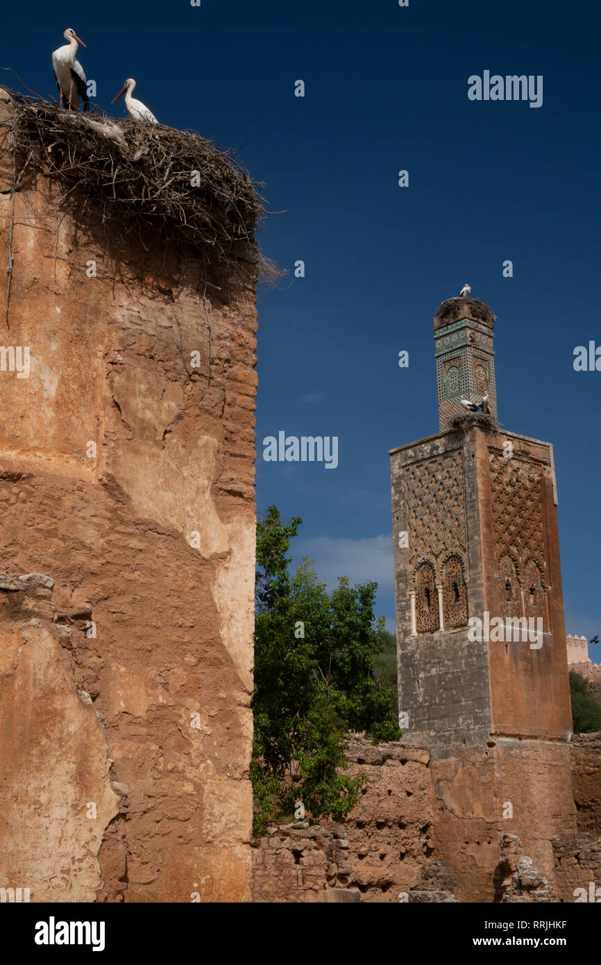 Ruined mosque Banque de photographies et d’images à haute résolution ...