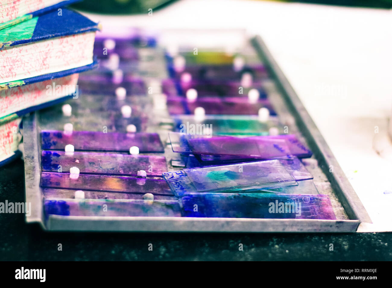 Frottis sanguin lame de verre Banque de photographies et d’images à ...