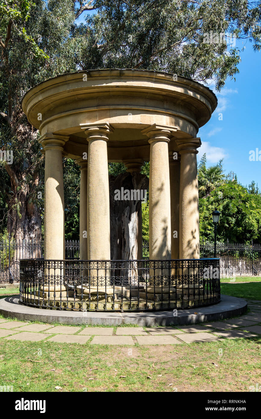 Le vieux chêne de Gernika - Guernica, Espagne. C'est le symbole des ...