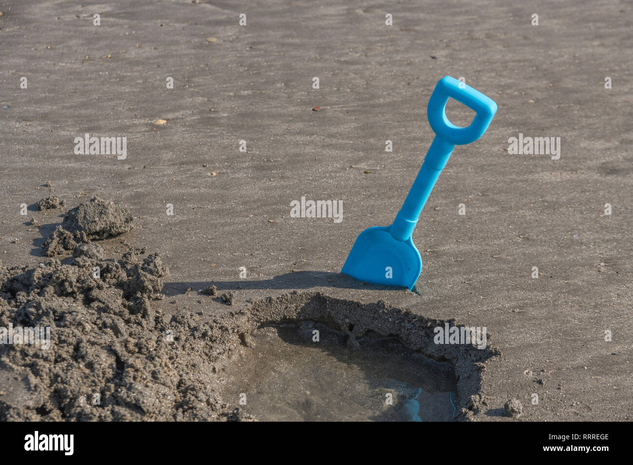 Station de jeu pour chat à côté d'un trou creusé dans le sable humide ...