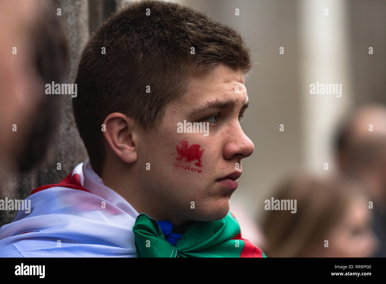 Foule de fans de drapeaux de rugby Banque de photographies et d’images ...
