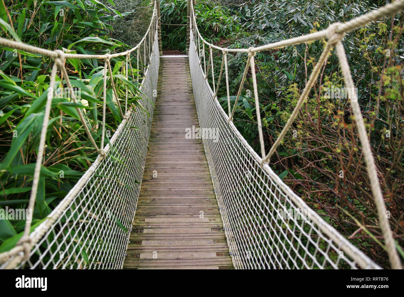 Pont suspendu en bambou Banque de photographies et d’images à haute ...