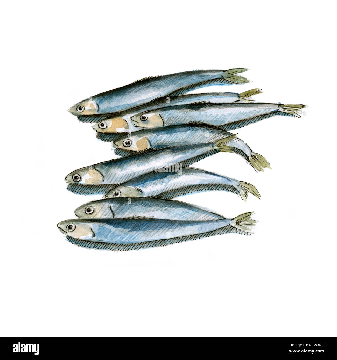 Watercolor fish illustration Banque de photographies et d’images à ...