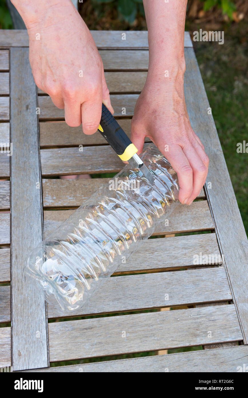 Réalisation d'un piège à limaces avec le métaldéhyde granules. Placez ...