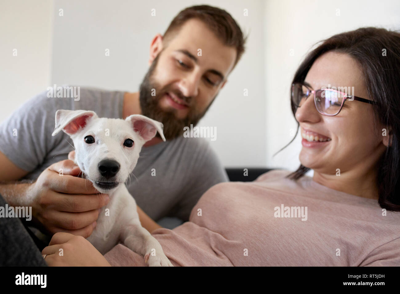 Canine humaine Banque de photographies et d’images à haute résolution ...