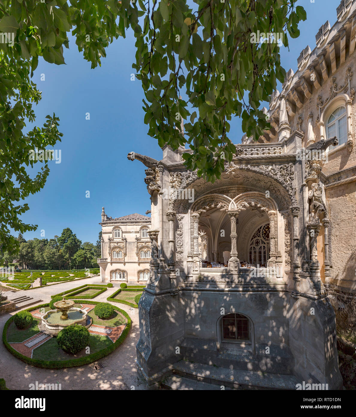 Forest of bussaco Banque de photographies et d’images à haute ...