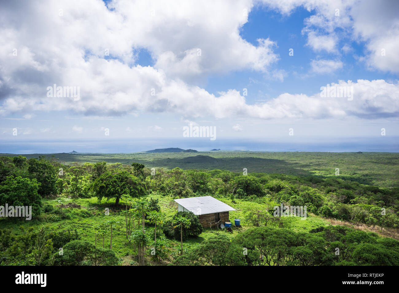 île de floreana Banque de photographies et d’images à haute résolution ...
