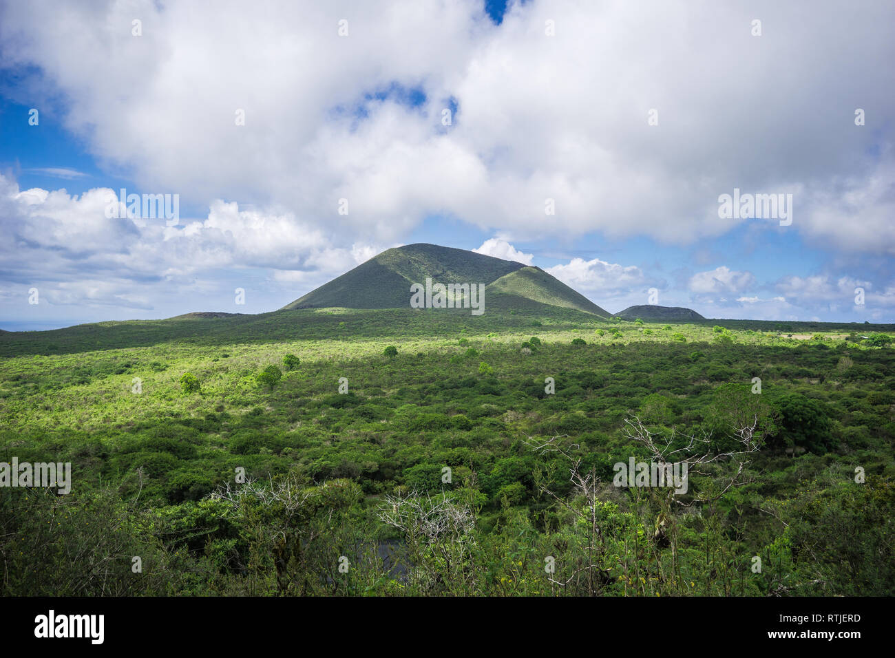 Tourisme galapagos Banque de photographies et d’images à haute ...