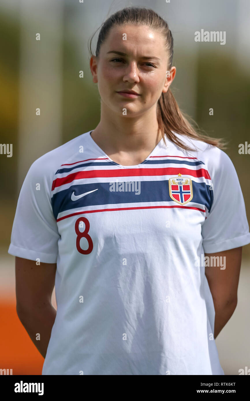 Vilde boe risa Banque de photographies et d’images à haute résolution ...