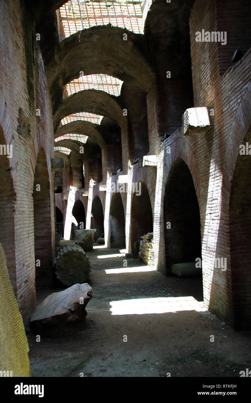 Flavian amphitheatre latin Banque de photographies et d’images à haute ...