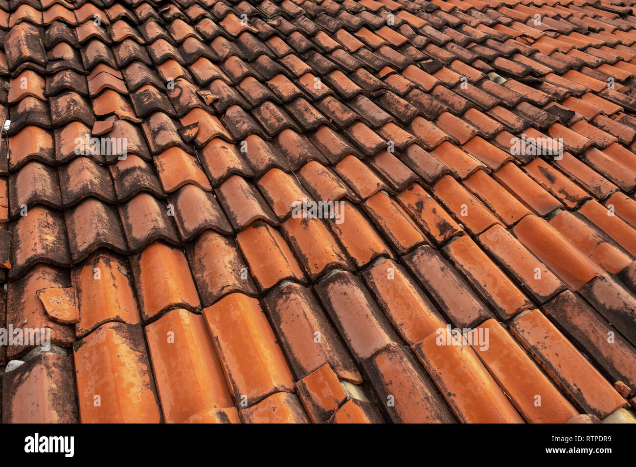 Roofing tile Banque de photographies et d’images à haute résolution - Alamy