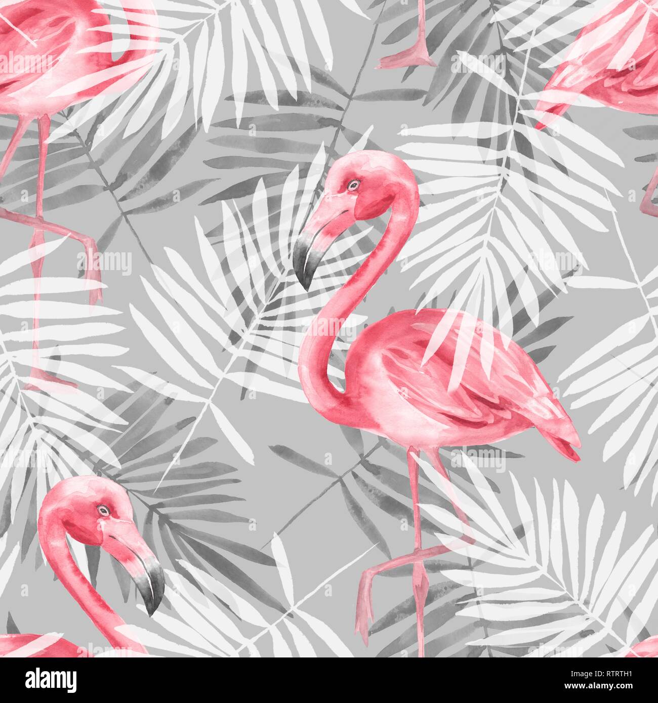 Aquarelle de flamant rose Banque de photographies et d’images à haute ...
