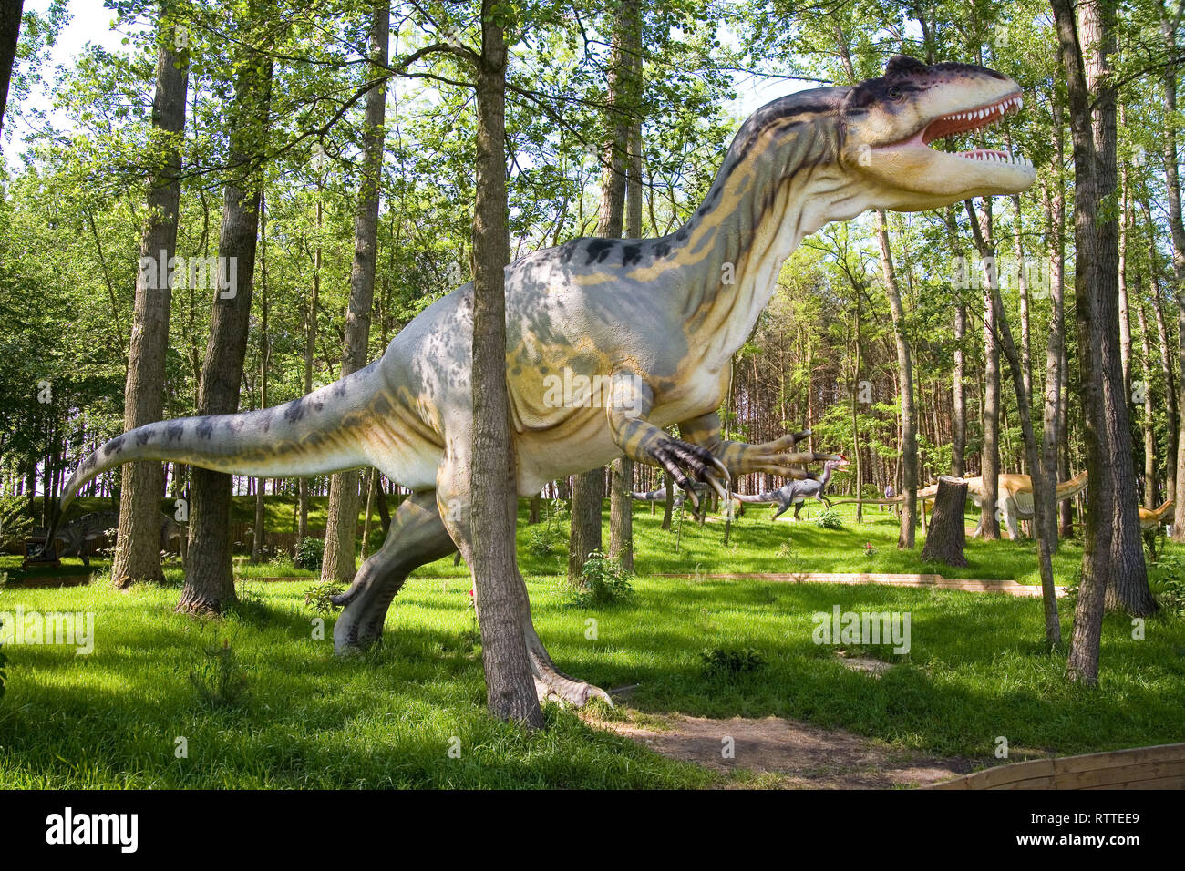 Allosaurus fragilis Banque de photographies et d’images à haute résolution - Alamy