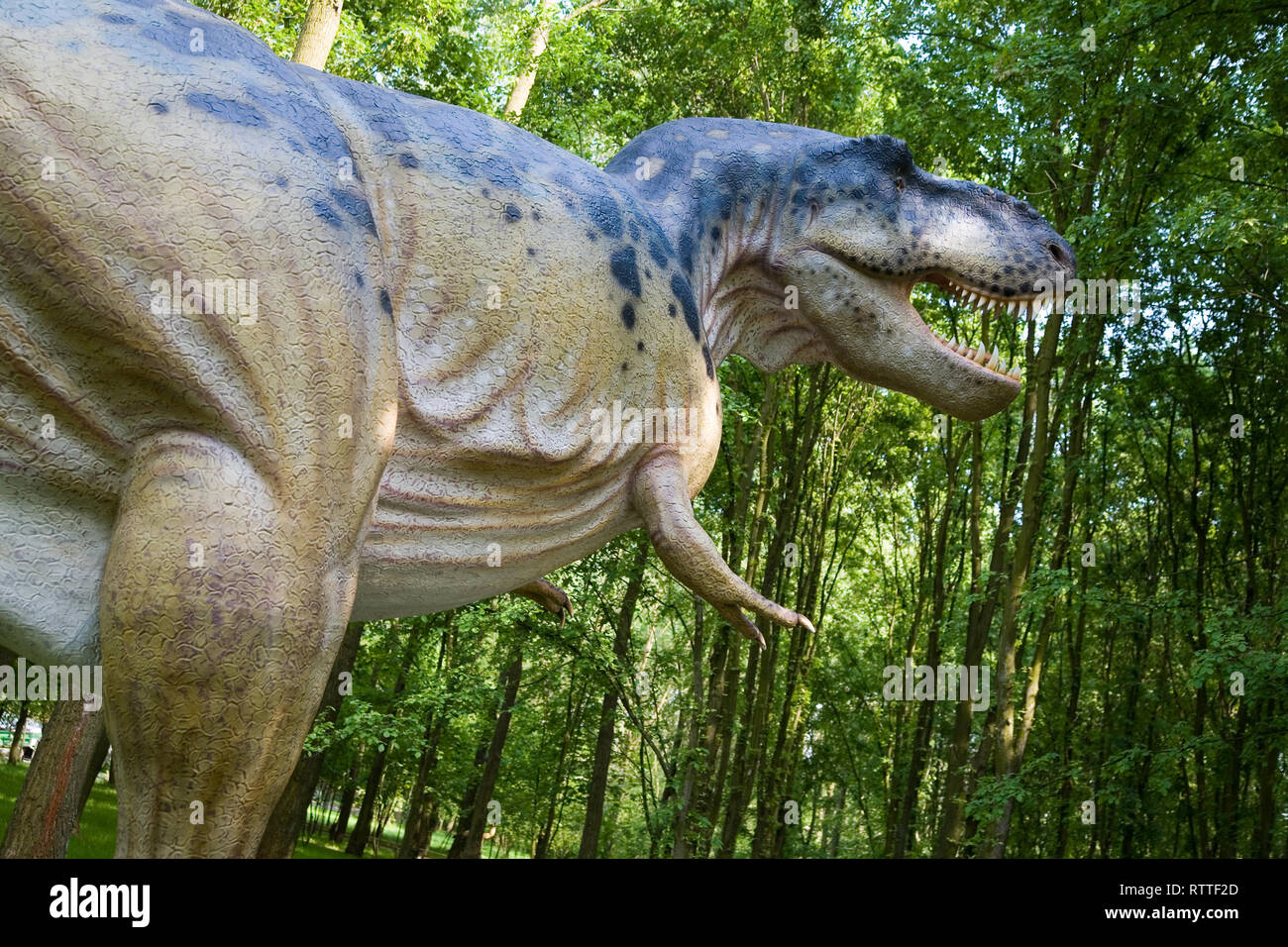 Les dinosaures se battent Banque de photographies et d’images à haute résolution - Alamy