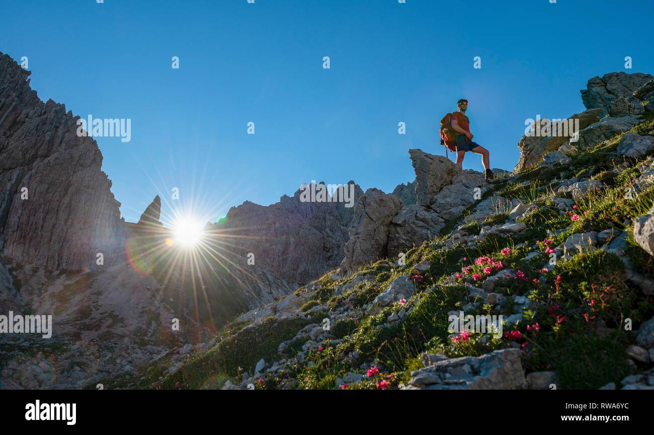 Se dresse sur un rocher Banque de photographies et d’images à haute ...