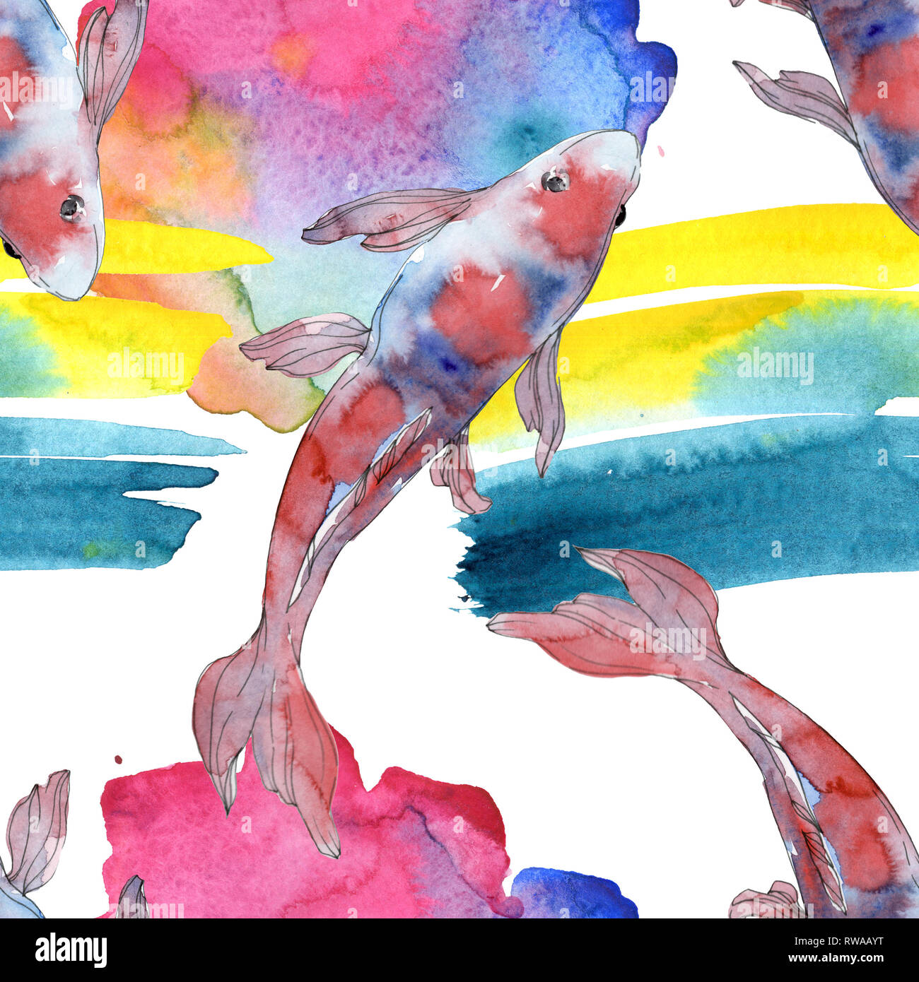 Repéré sous l'aquatique poissons colorés. Mer Rouge et poissons ...