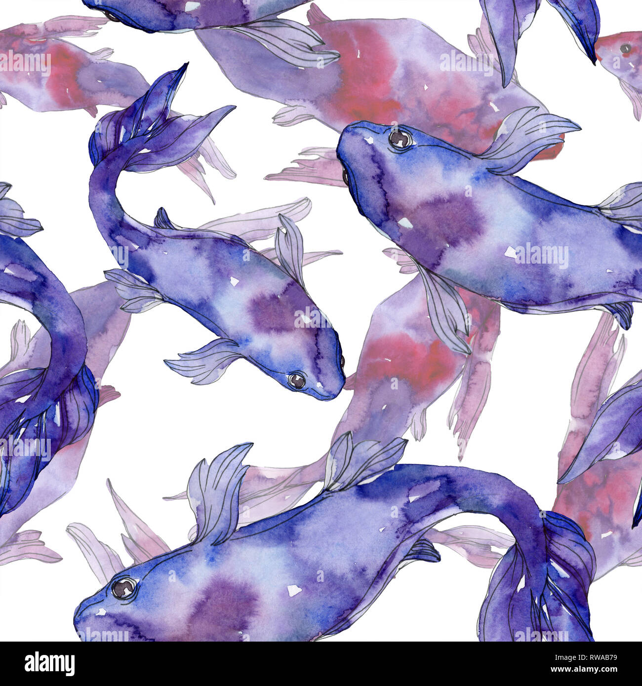 Jeu de poissons aquatiques. Mer Rouge et poissons exotiques intérieur ...