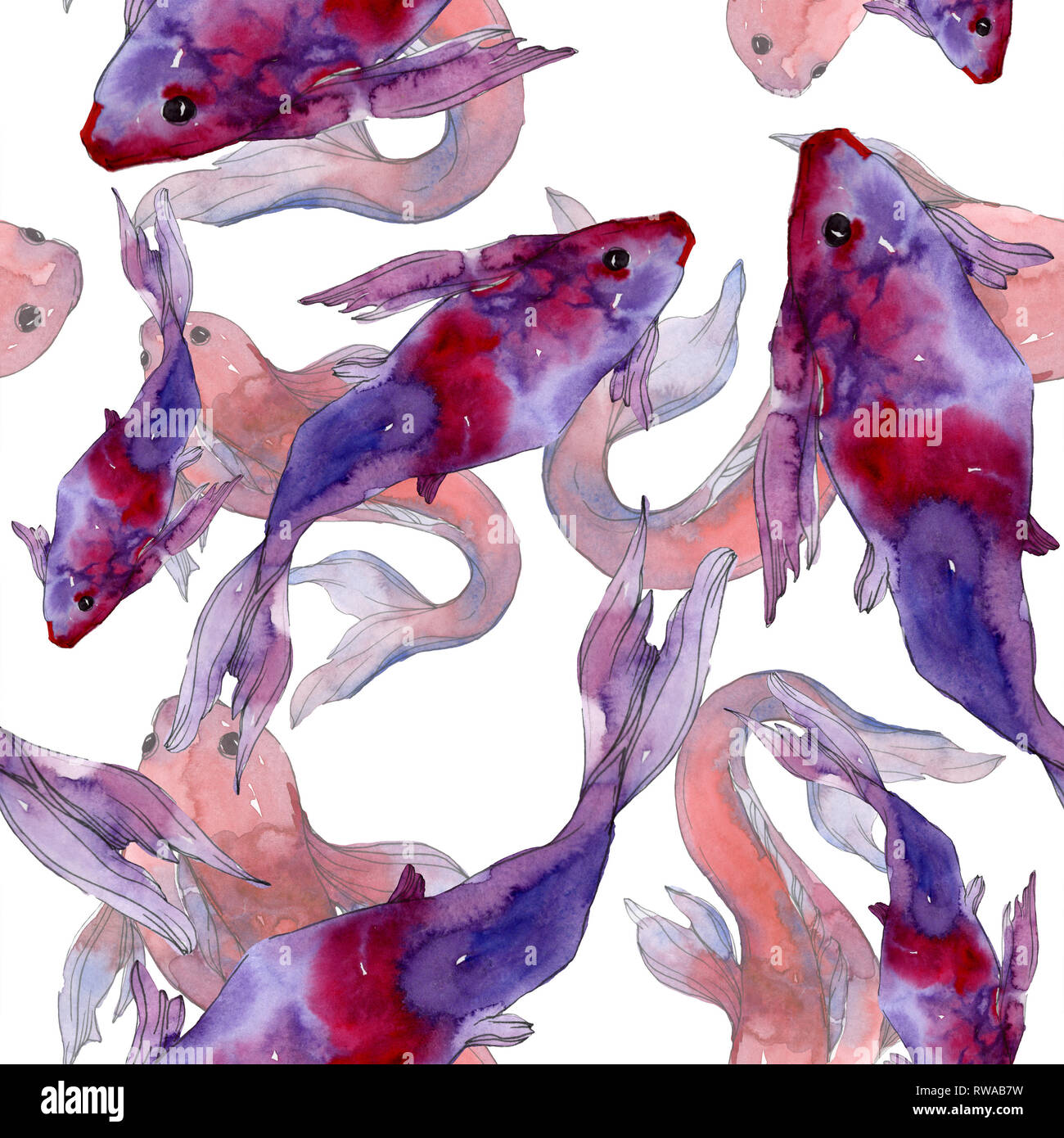 Jeu de poissons aquatiques. Mer Rouge et poissons exotiques intérieur ...