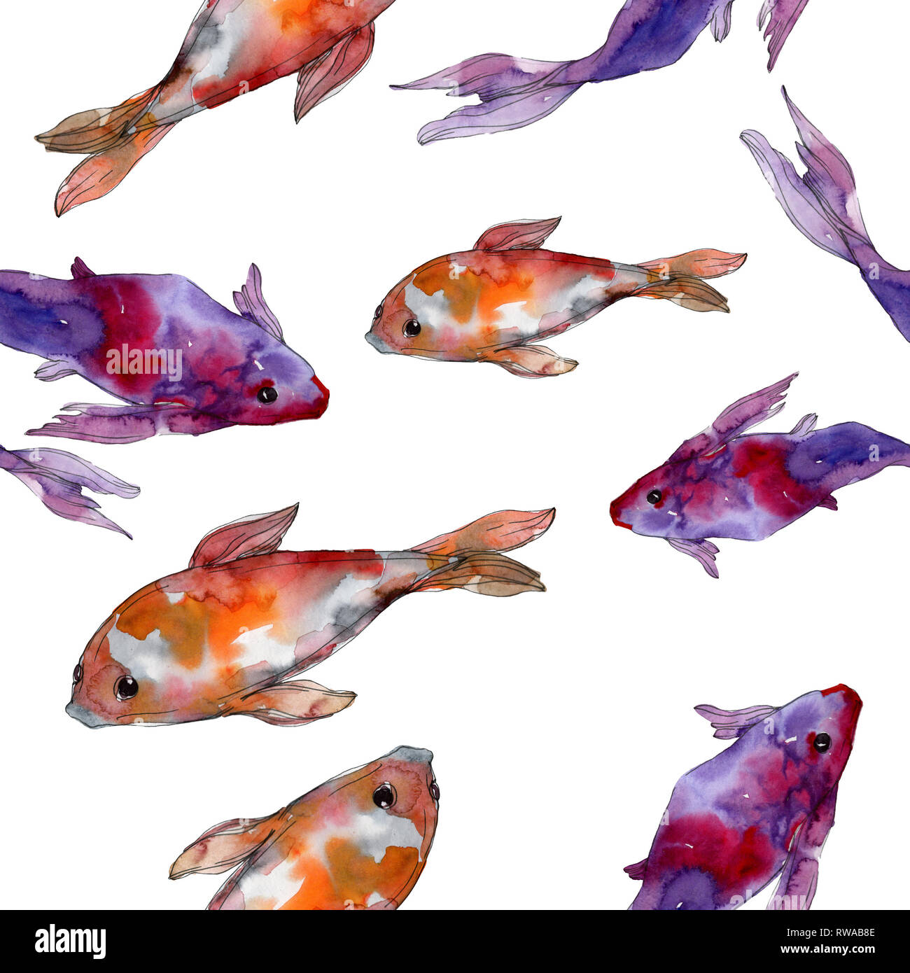 Jeu de poissons aquatiques. Mer Rouge et poissons exotiques intérieur ...