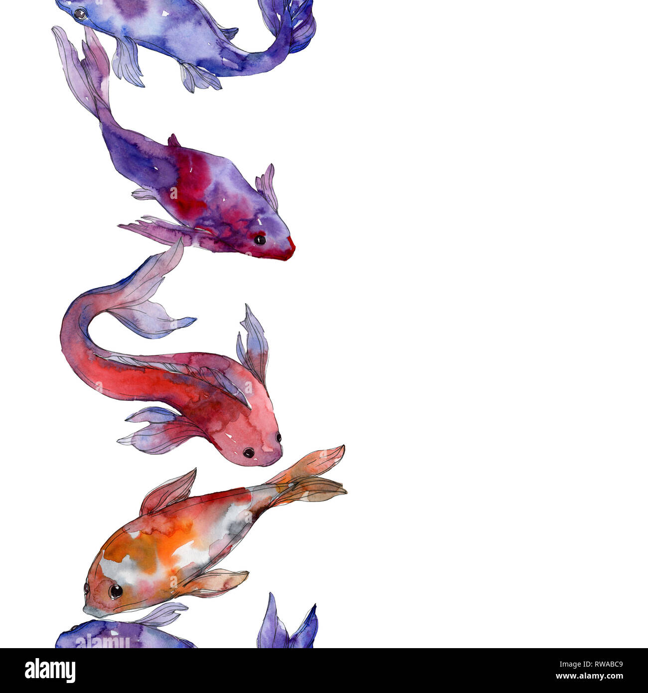 Jeu de poissons aquatiques. Mer Rouge et poissons exotiques intérieur ...