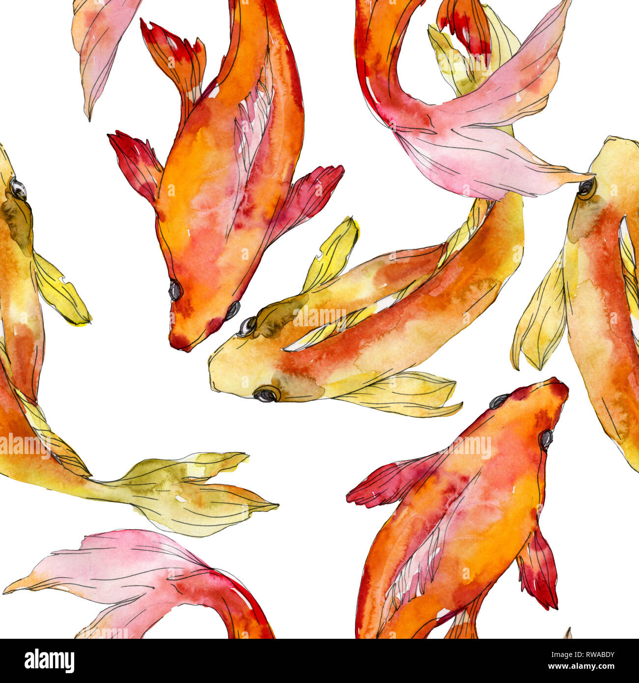 Jeu de poissons aquatiques. Mer Rouge et poissons exotiques intérieur ...