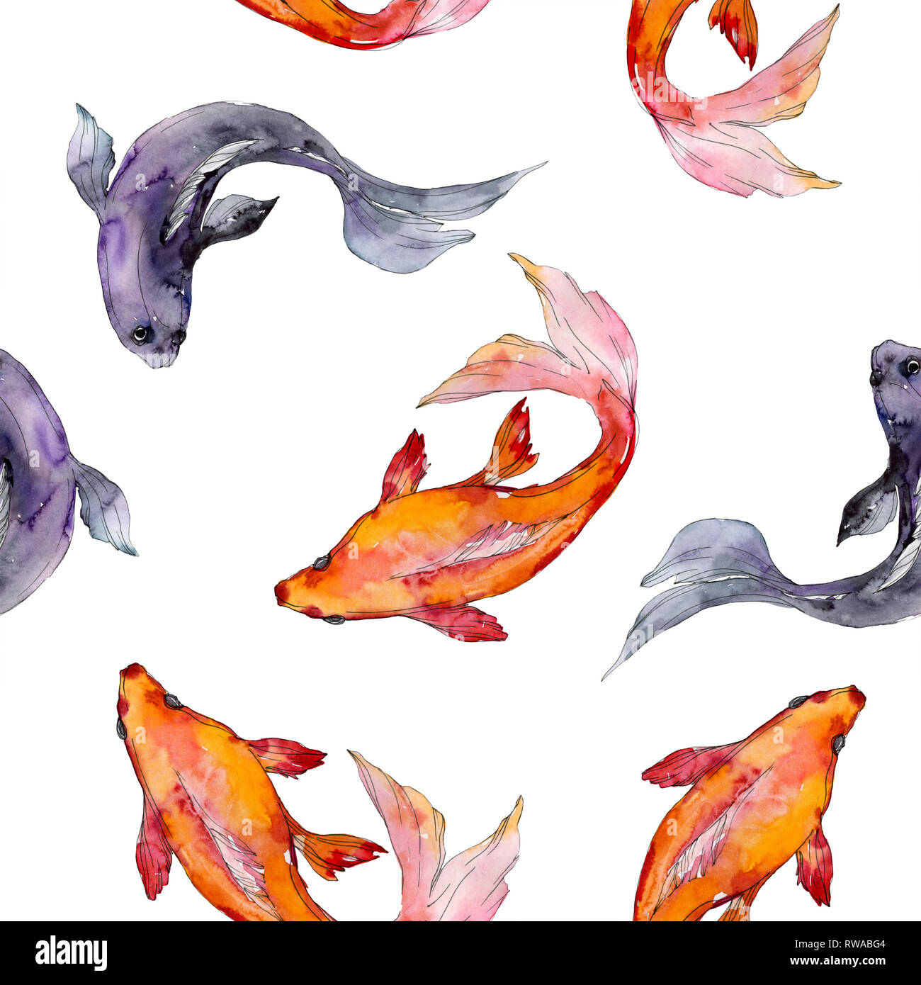 Jeu de poissons aquatiques. Mer Rouge et poissons exotiques intérieur ...