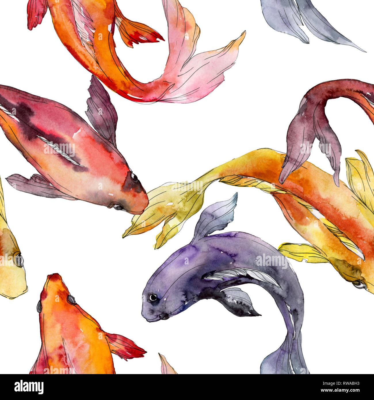 Jeu de poissons aquatiques. Mer Rouge et poissons exotiques intérieur ...